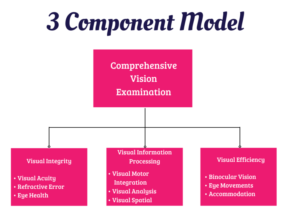The Eye Exam Kids REALLY Need - Miss Jaime OT Courses & Membership